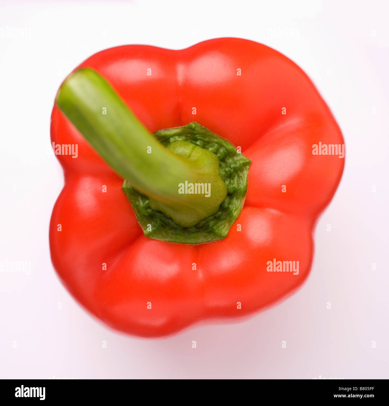 Pepper (Red), close up Stock Photo - Alamy