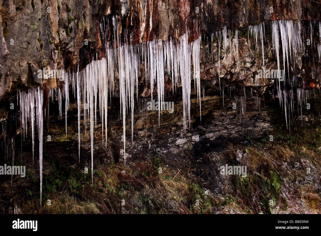 Icicles hanging from overhanging rocks Stock Photo - Alamy