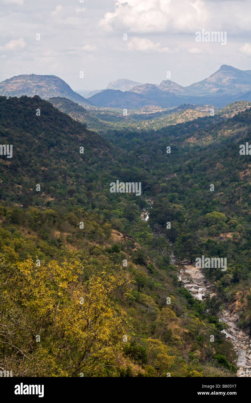 View of the river and forest from the road cutting through Chinnar ...