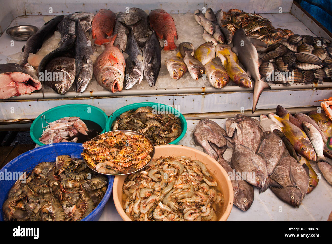 Freshly caught seafood on ice at the fishmarket in Fort Cochin Kerala ...