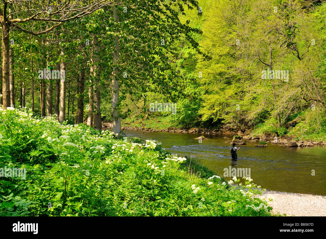 River wharfe fishing hi-res stock photography and images - Alamy
