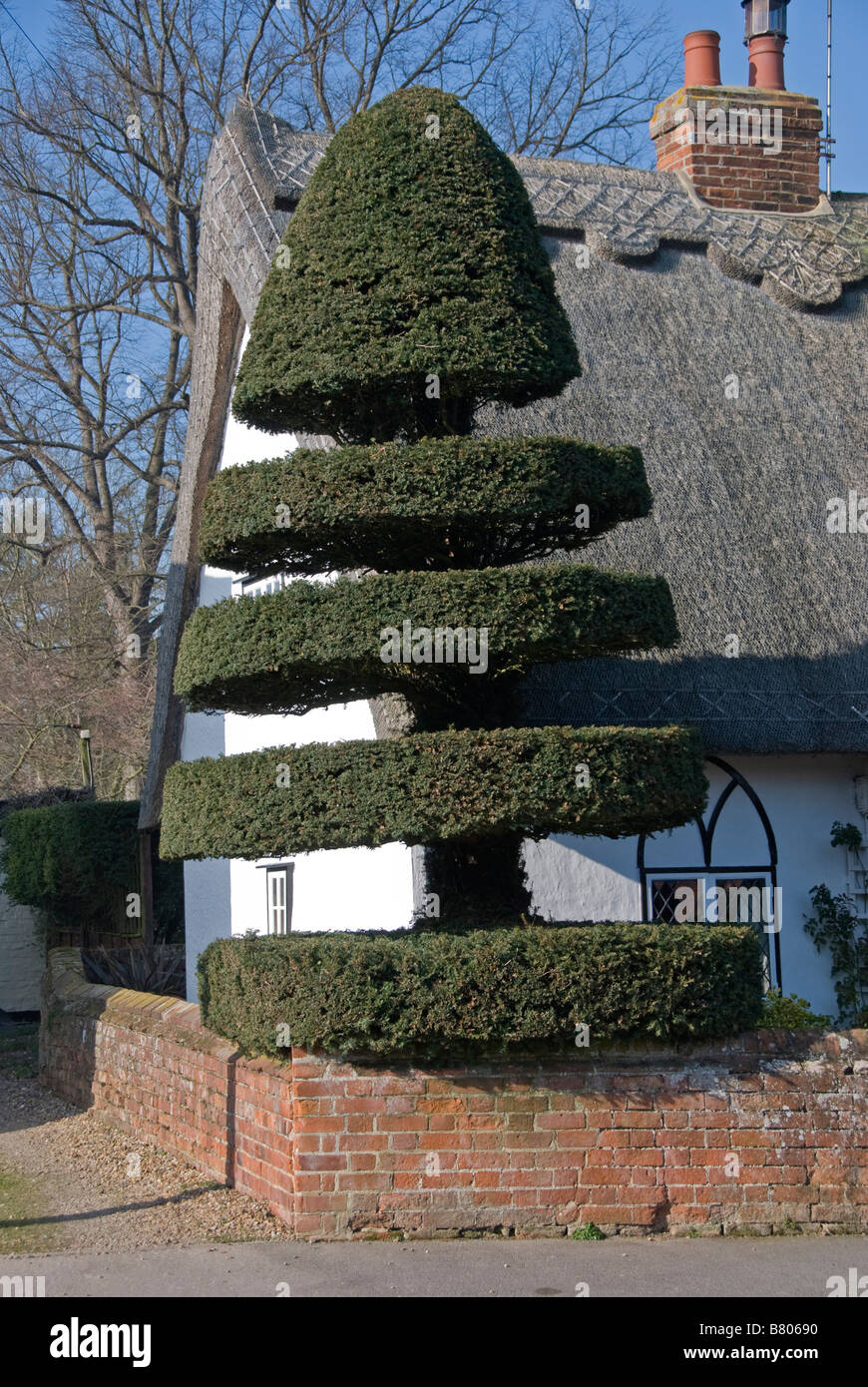 English yew tree hi-res stock photography and images - Alamy