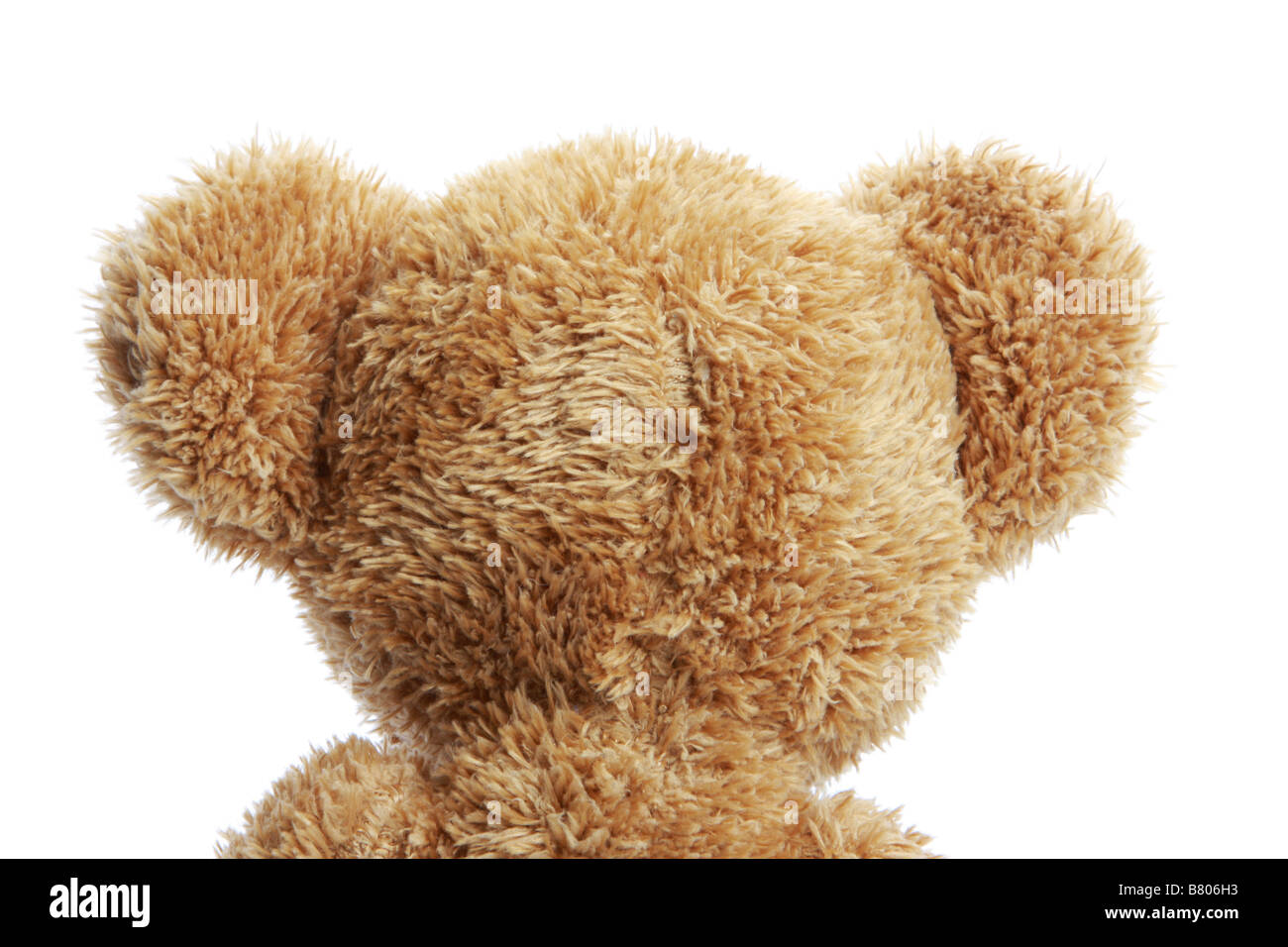 The rear of a stuffed teddy bear isolated on white shot in studio Stock ...