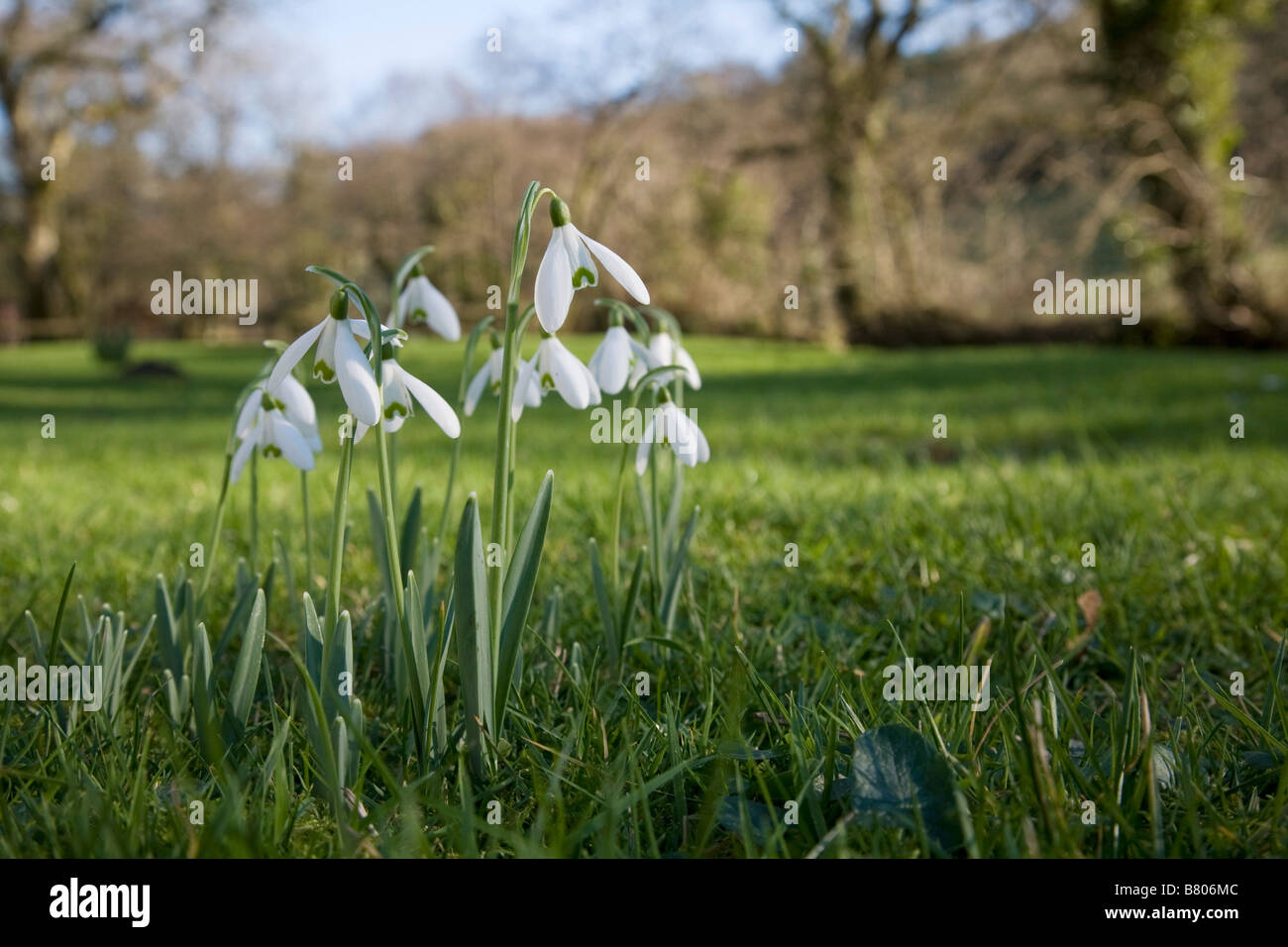 Spring in the valley hi-res stock photography and images - Alamy