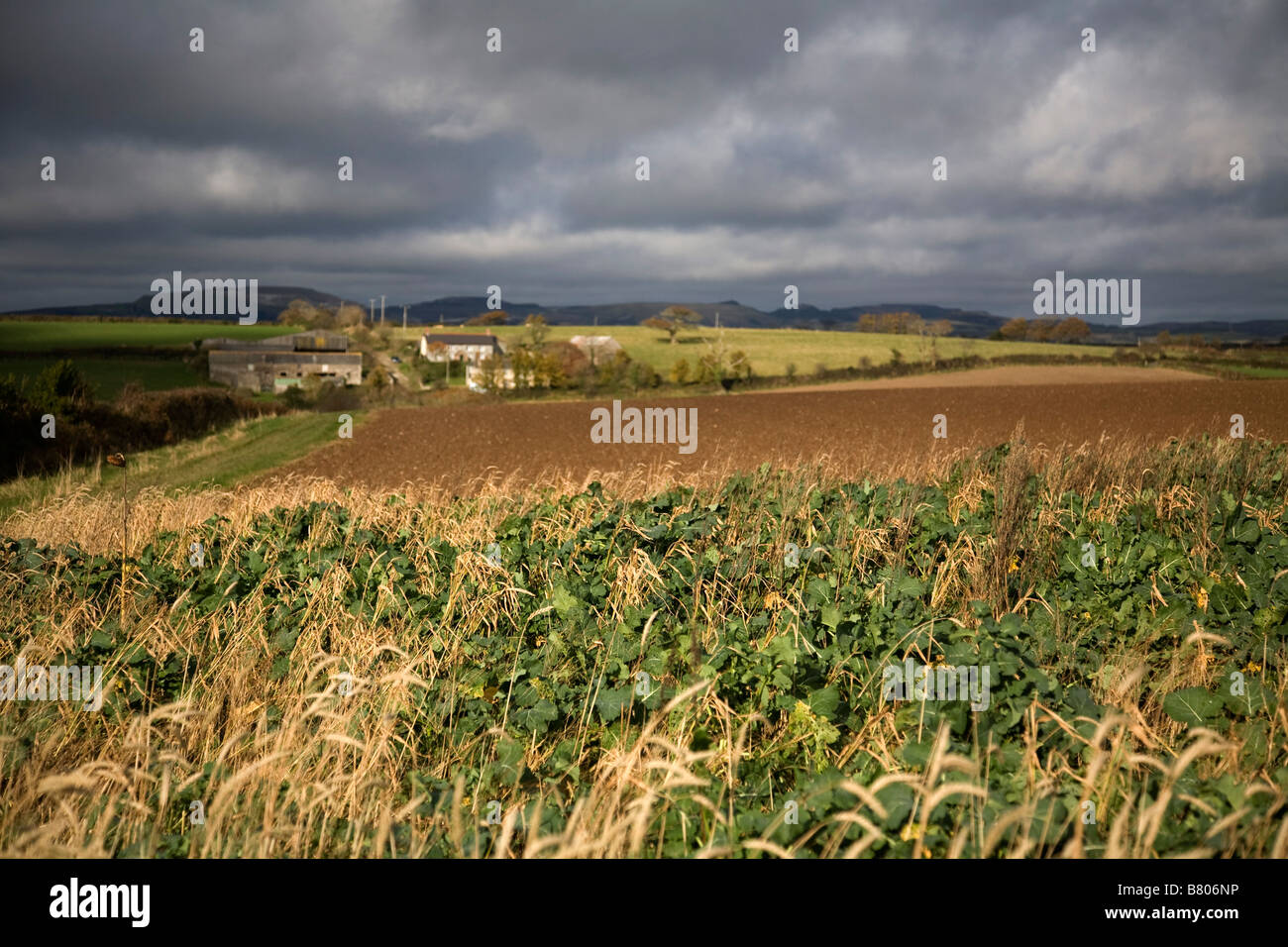 kestle farm cornwall Stock Photo - Alamy
