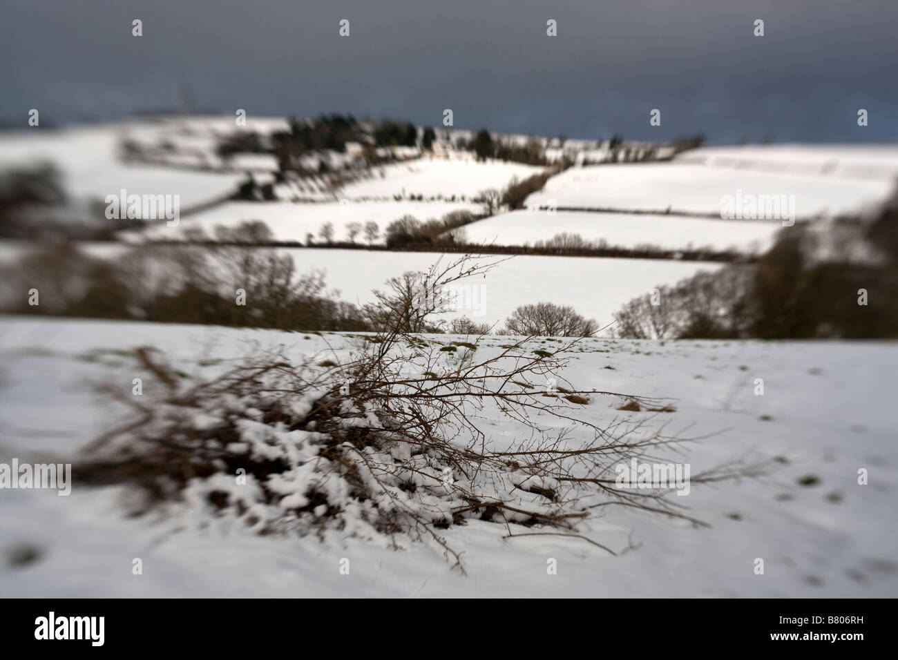 Typical devon landscape hi-res stock photography and images - Alamy