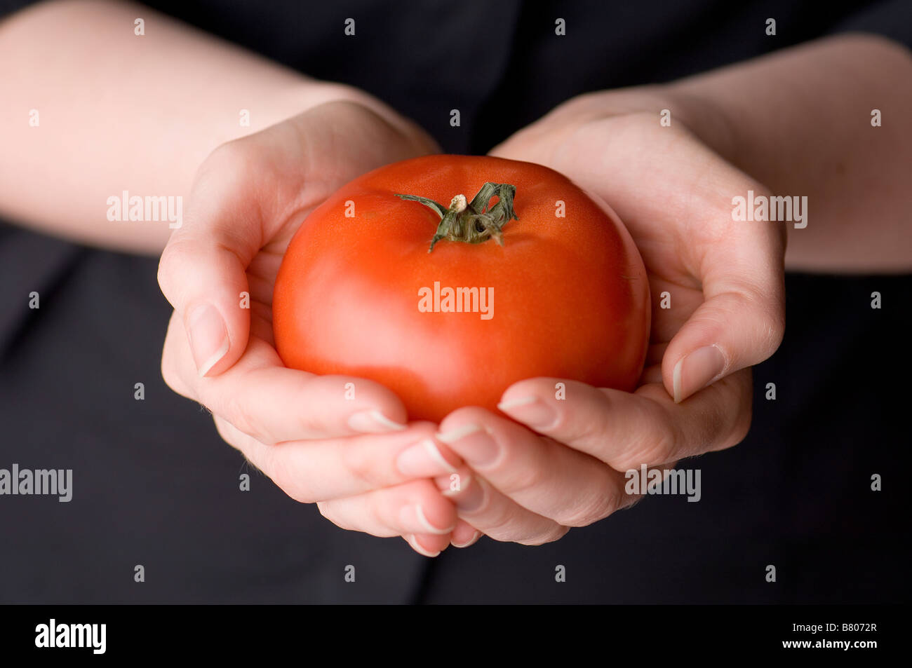 A delicious, perfectly ripe tomato Stock Photo - Alamy