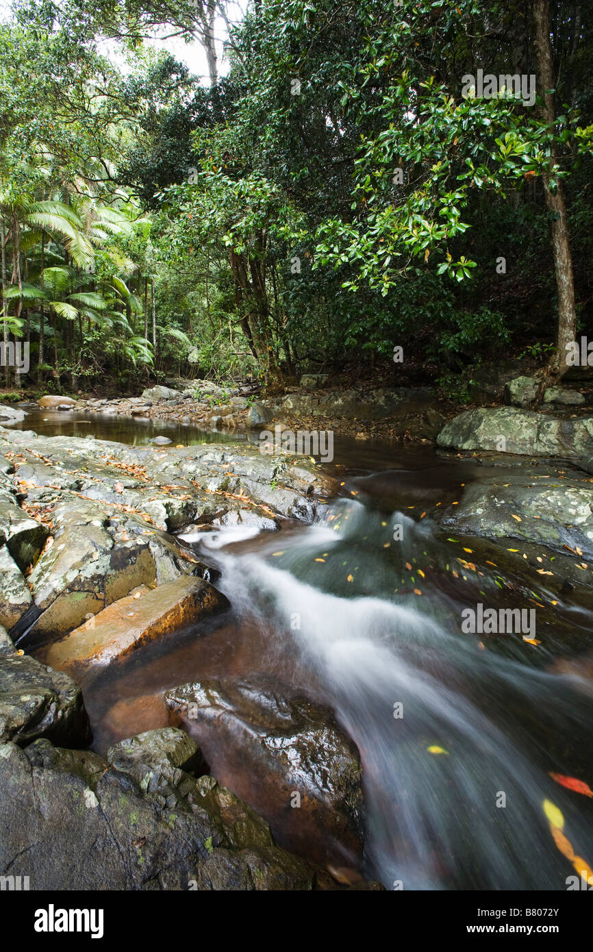 The Rock pools of Currumbin river Springbrook national park Gold Coast ...