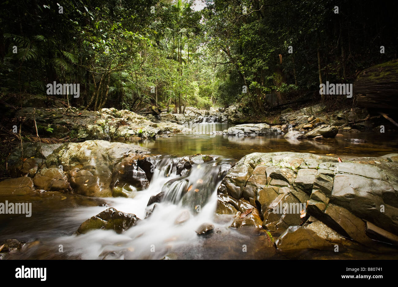 The Rock pools of Currumbin river Springbrook national park Gold Coast ...