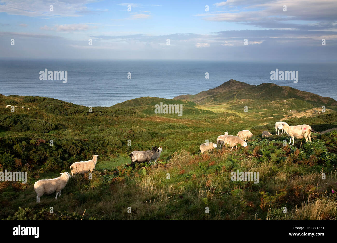 morte point devon Stock Photo - Alamy