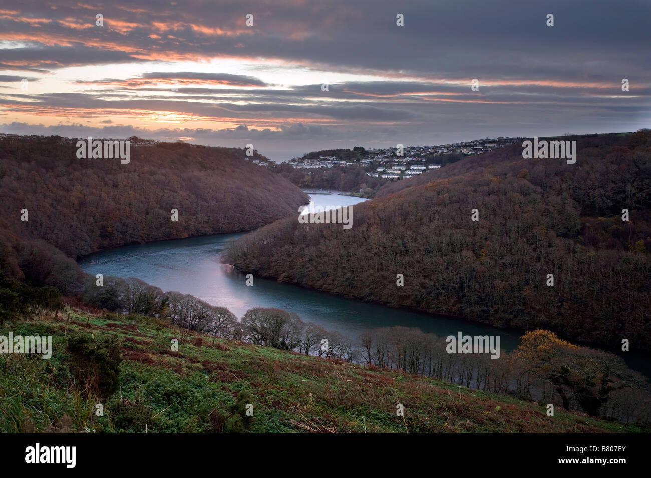 trenant and kilminorth woods looe cornwall Stock Photo - Alamy