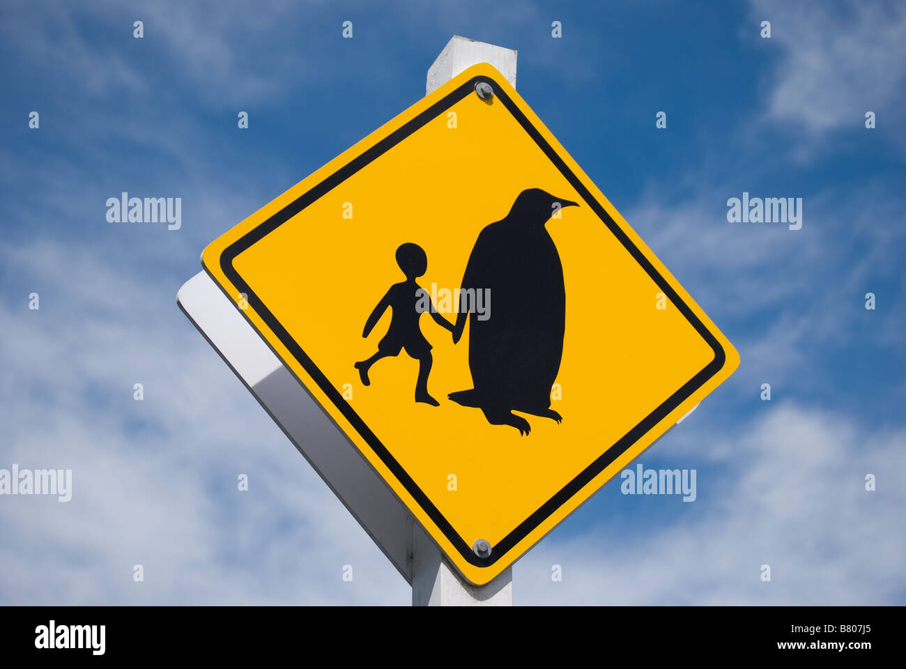 Penguin holding sign hi-res stock photography and images - Alamy