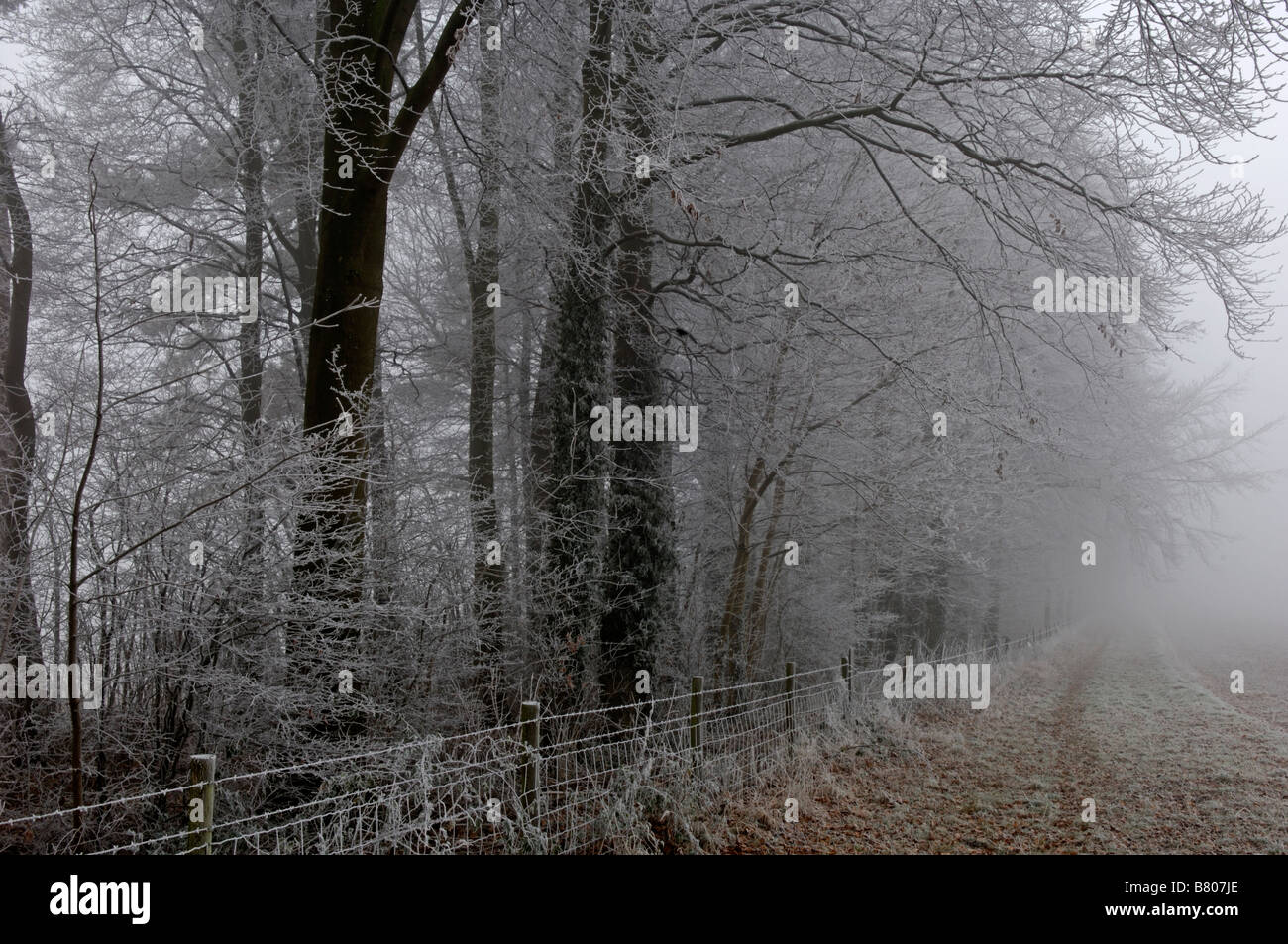 Aston Blank High Resolution Stock Photography and Images - Alamy
