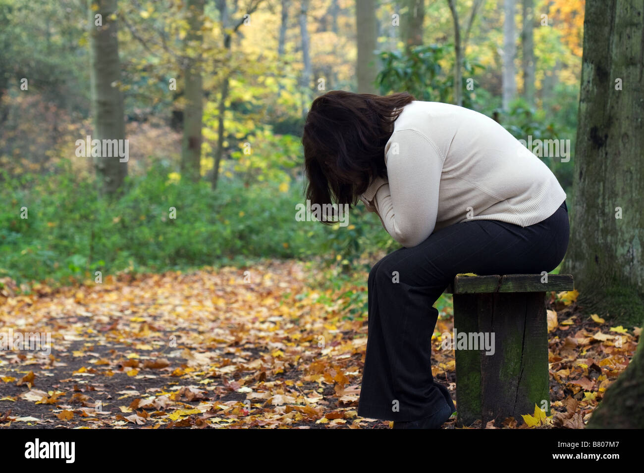 Depressed over-weight woman sitting on bench in woodland setting Stock ...