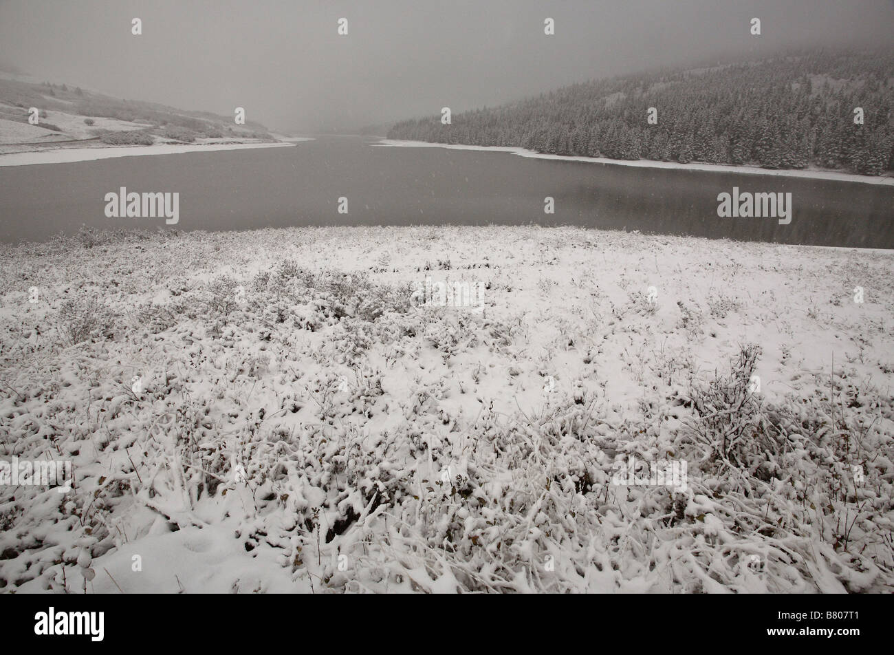 Reesor lake hi-res stock photography and images - Alamy