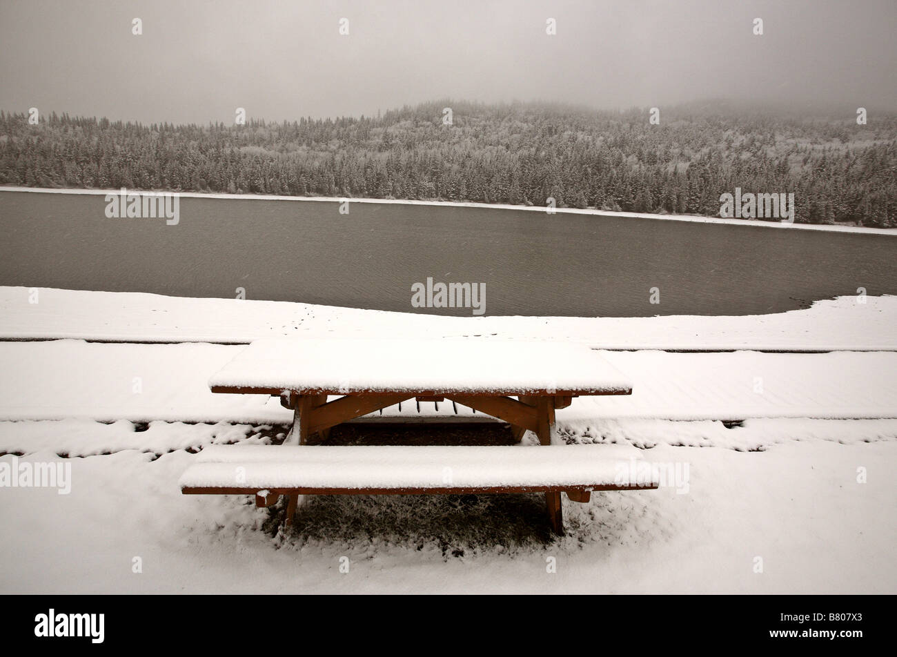 Reesor Lake in winter Stock Photo - Alamy