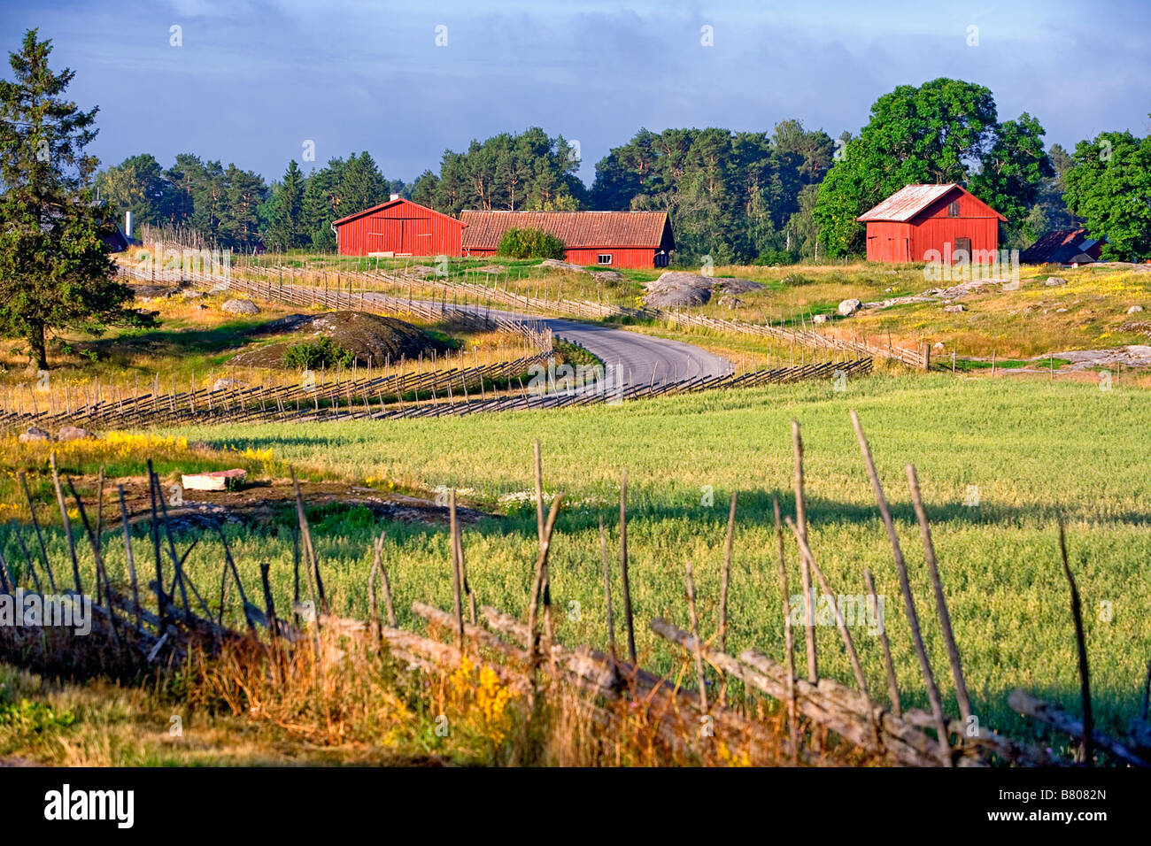 SWEDEN UPPLAND TRADITIONAL WOODEN FENCES BY THE ROAD Stock Photo - Alamy
