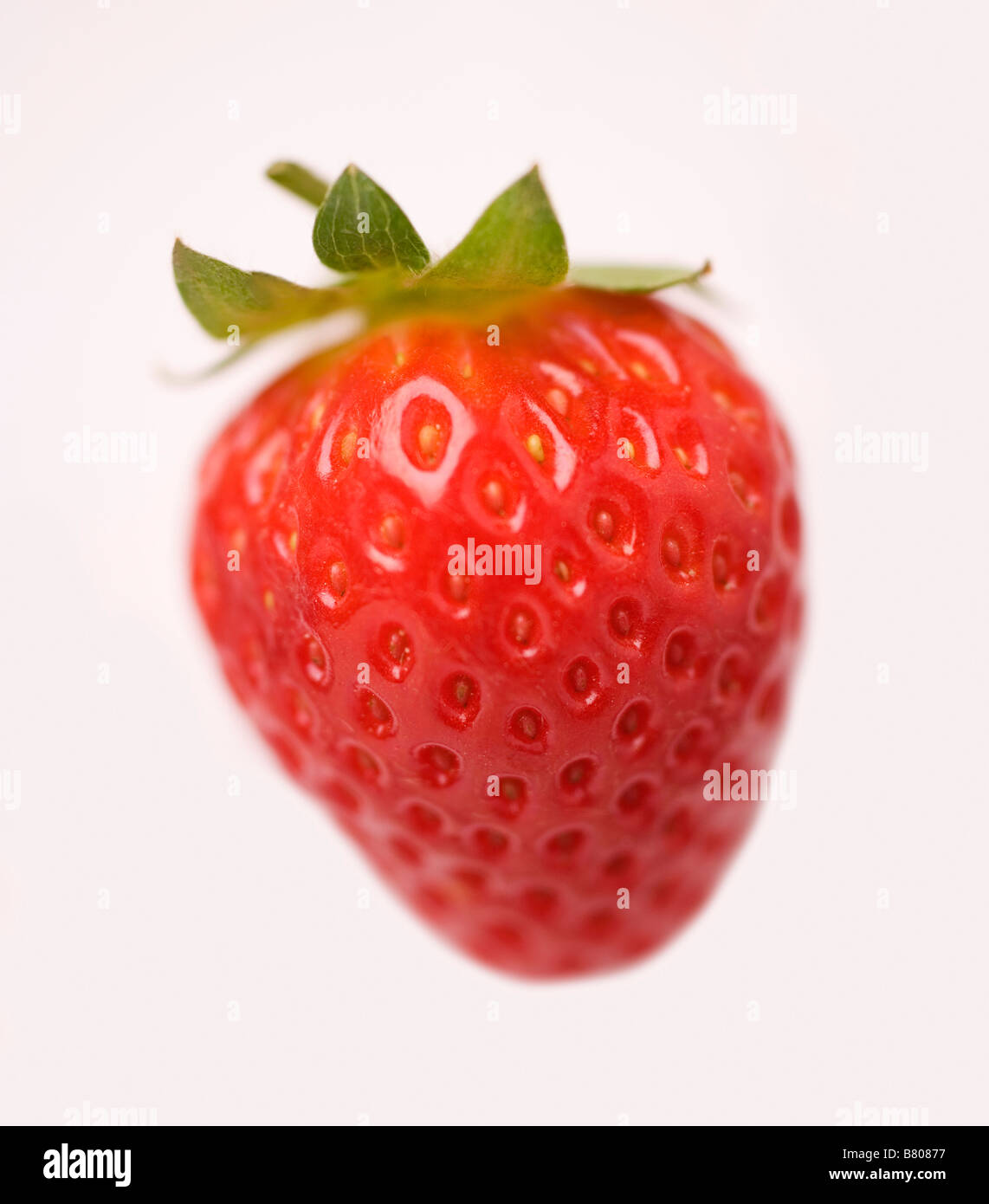 Strawberry, close up Stock Photo - Alamy