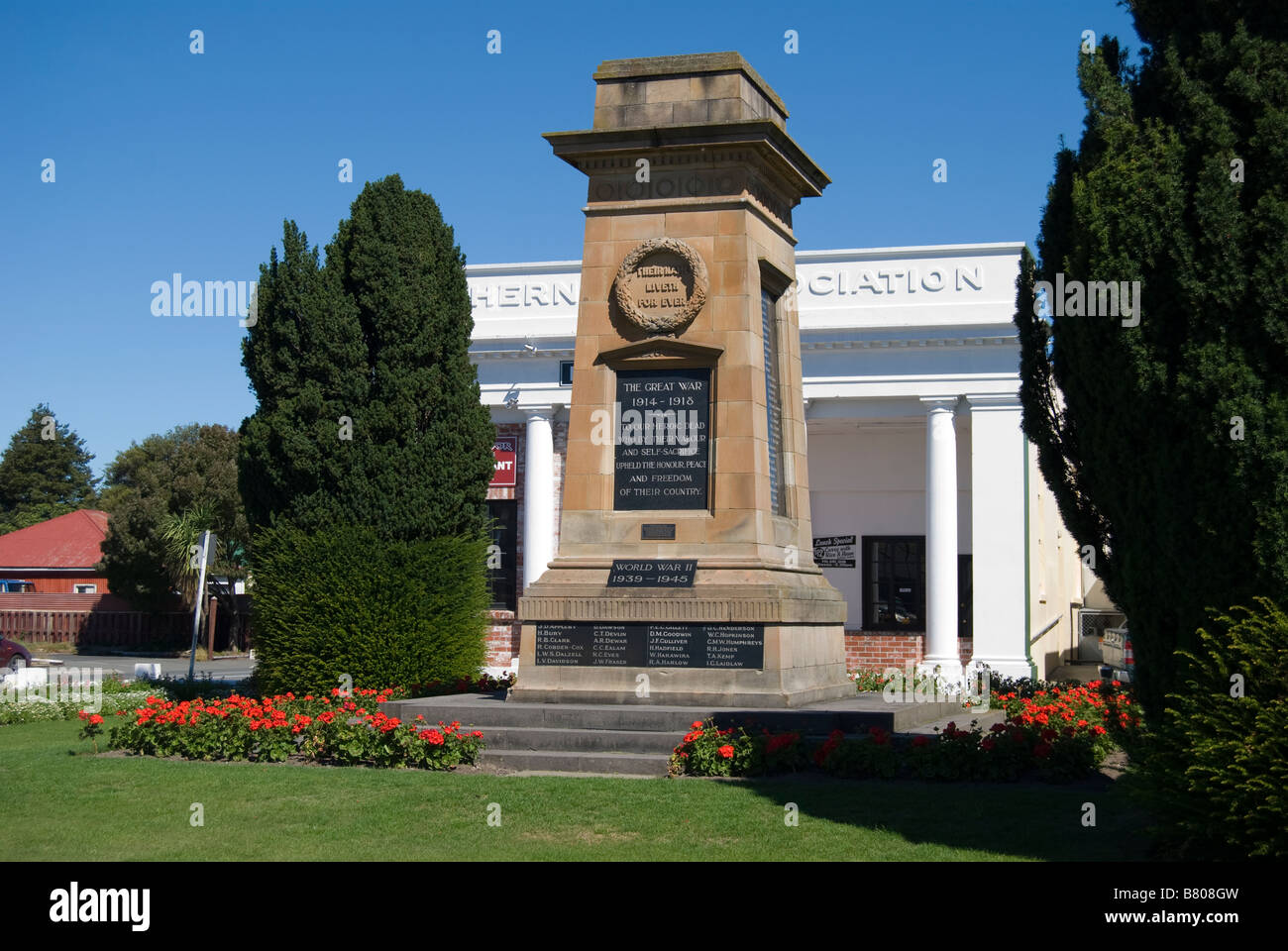 Rangiora tree hi-res stock photography and images - Alamy