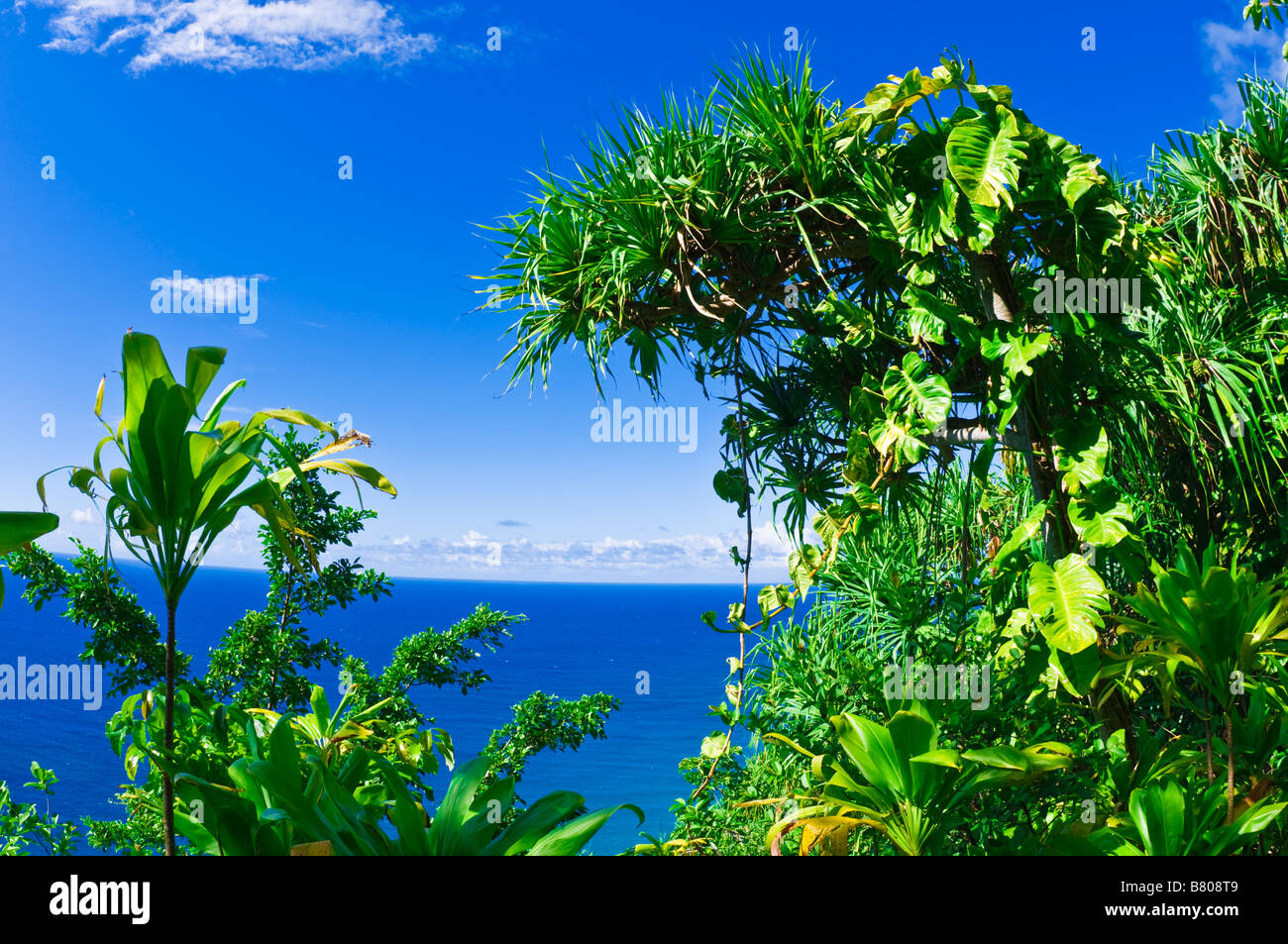 Na pali forests hi-res stock photography and images - Alamy