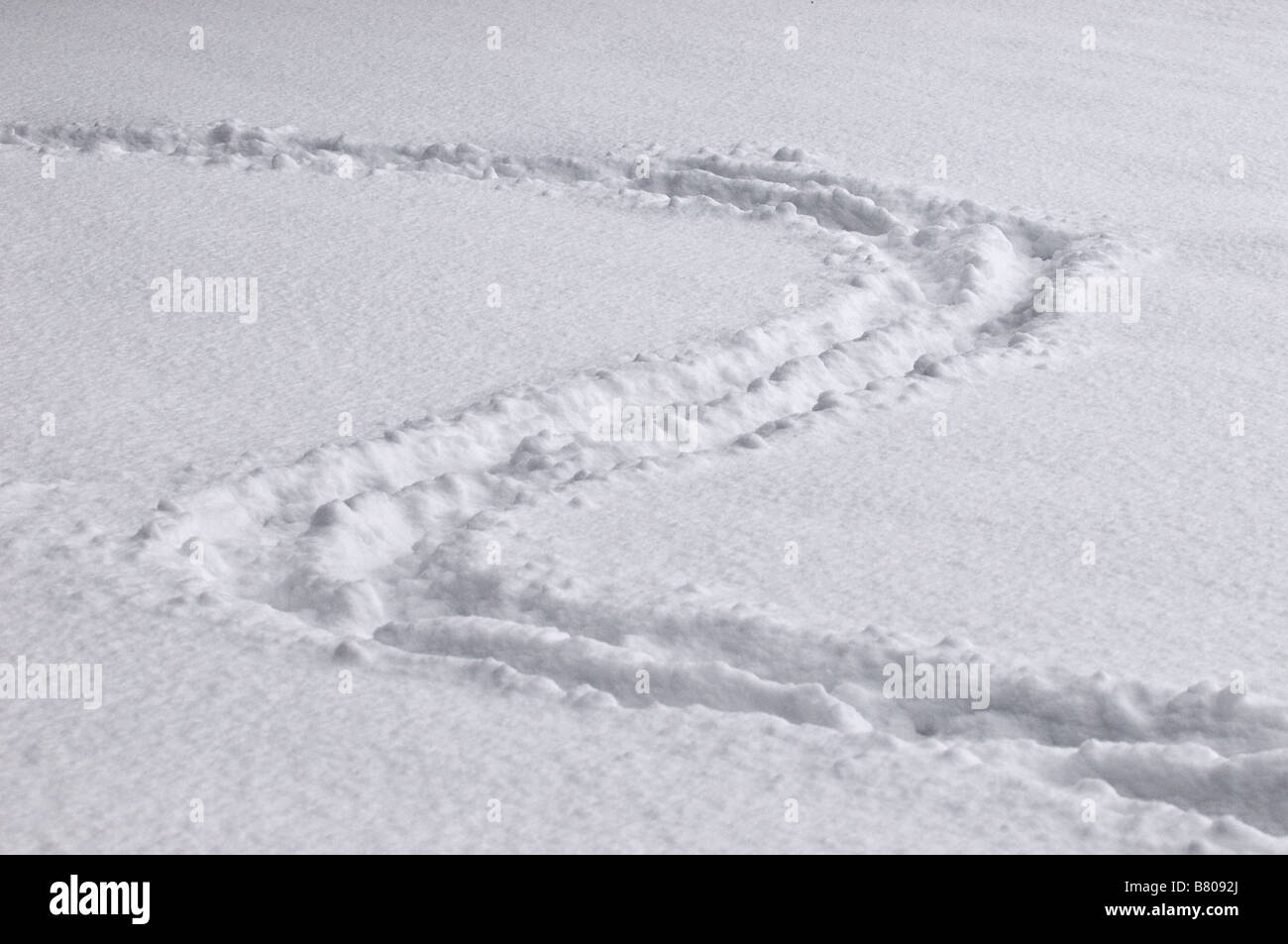 Curved tracks in snow Stock Photo - Alamy
