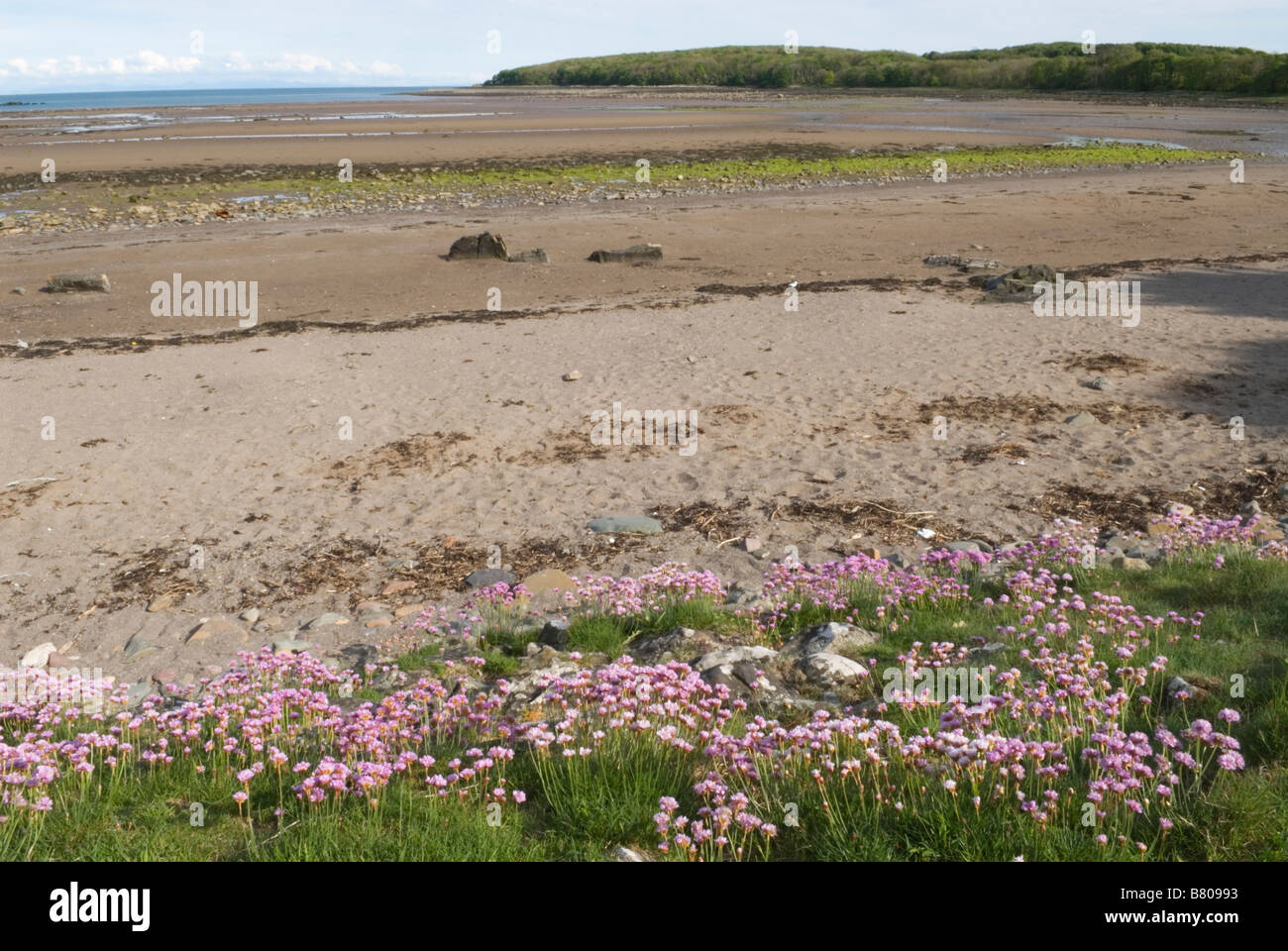 Garlieston beach hi-res stock photography and images - Alamy