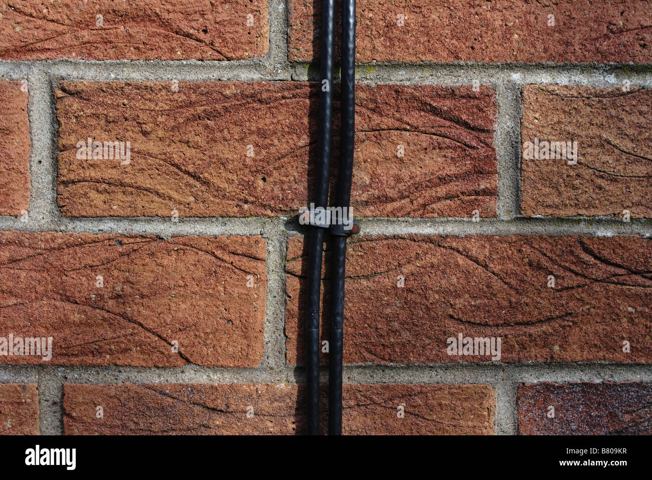 Cables running up a brick wall Stock Photo - Alamy
