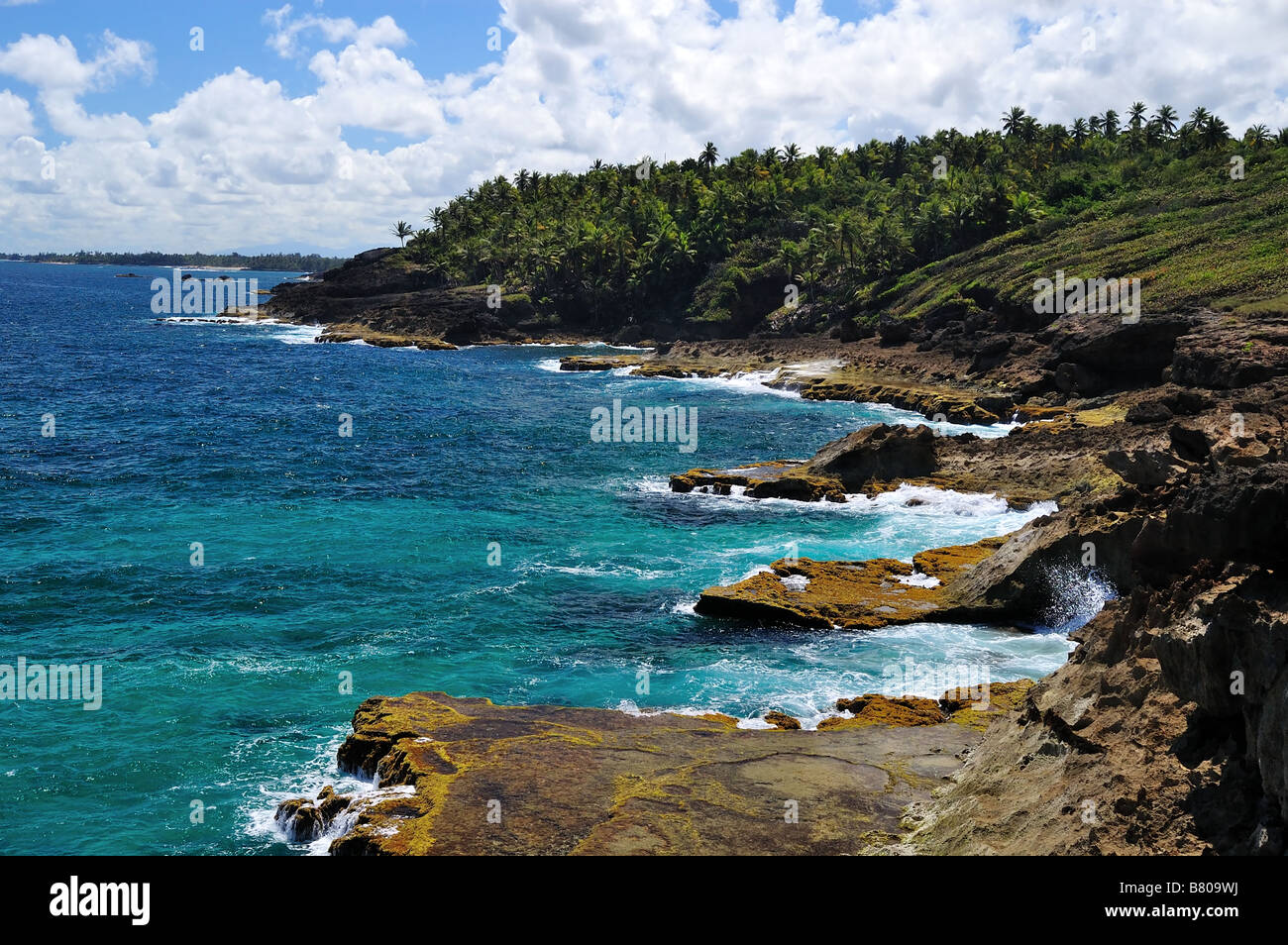 View of the ocean-side cliffs and clear-blue water in Dorado, Puerto ...