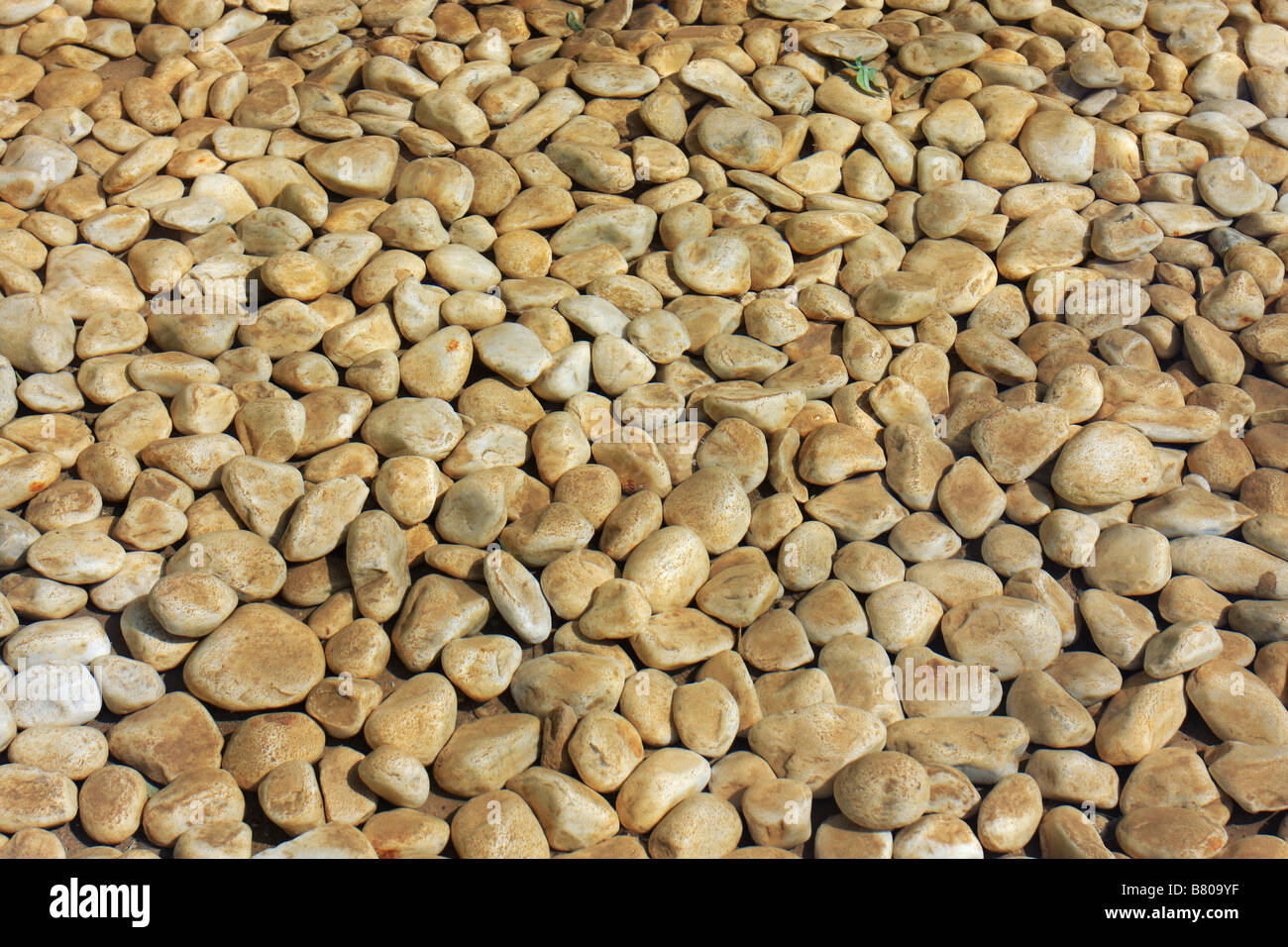 Streambed in a very gently flowing stream gives a slight soft focus to ...