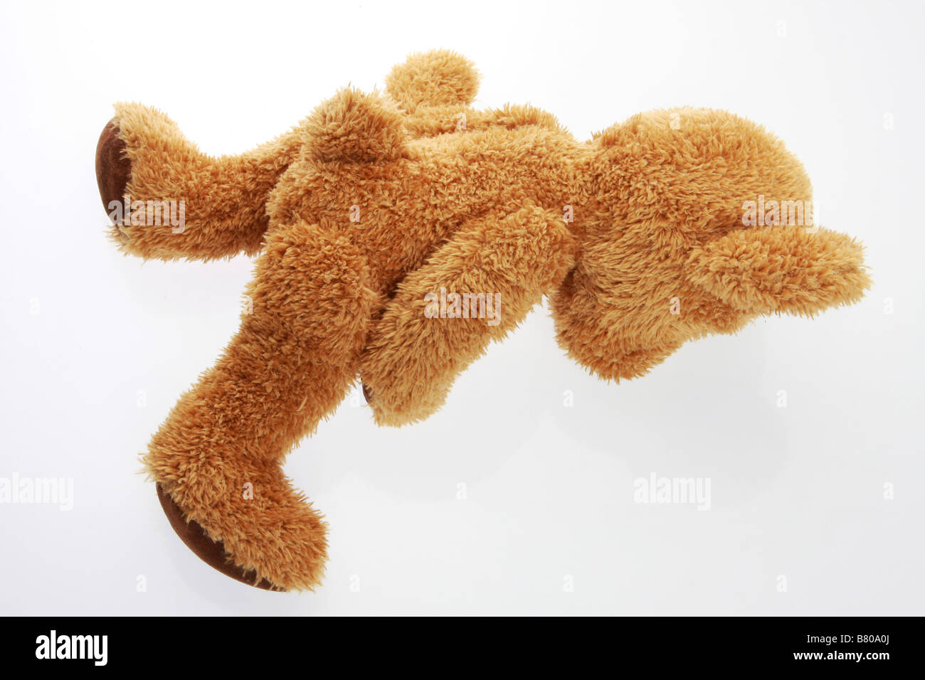 Stuffed white bear hi-res stock photography and images - Alamy