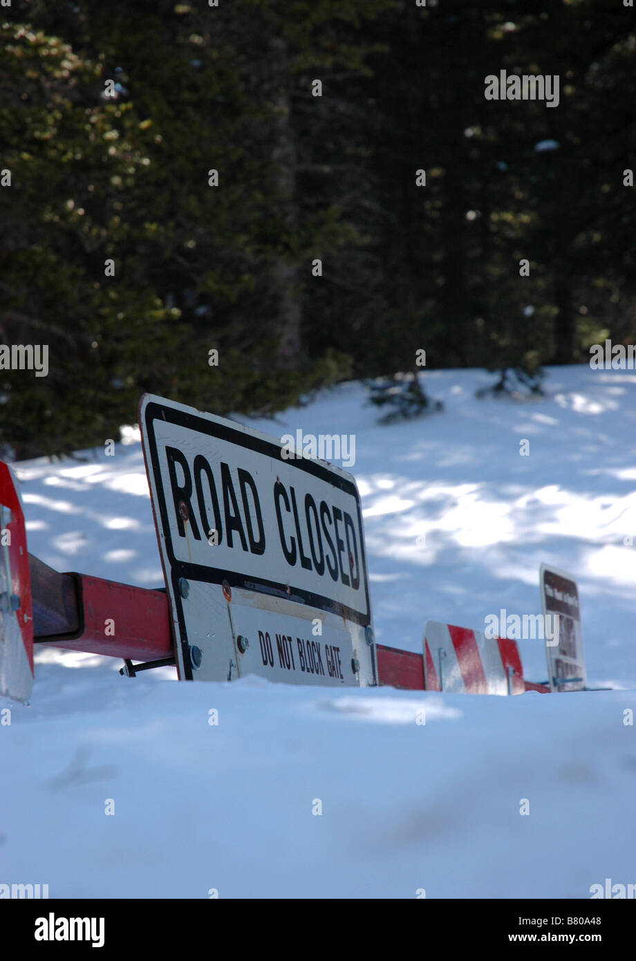Road closed sign trees hi-res stock photography and images - Alamy