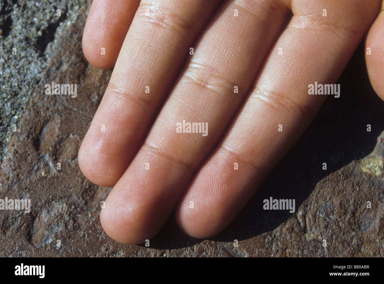 Fingers of man's hand show texture and pattern that create fingerprints ...