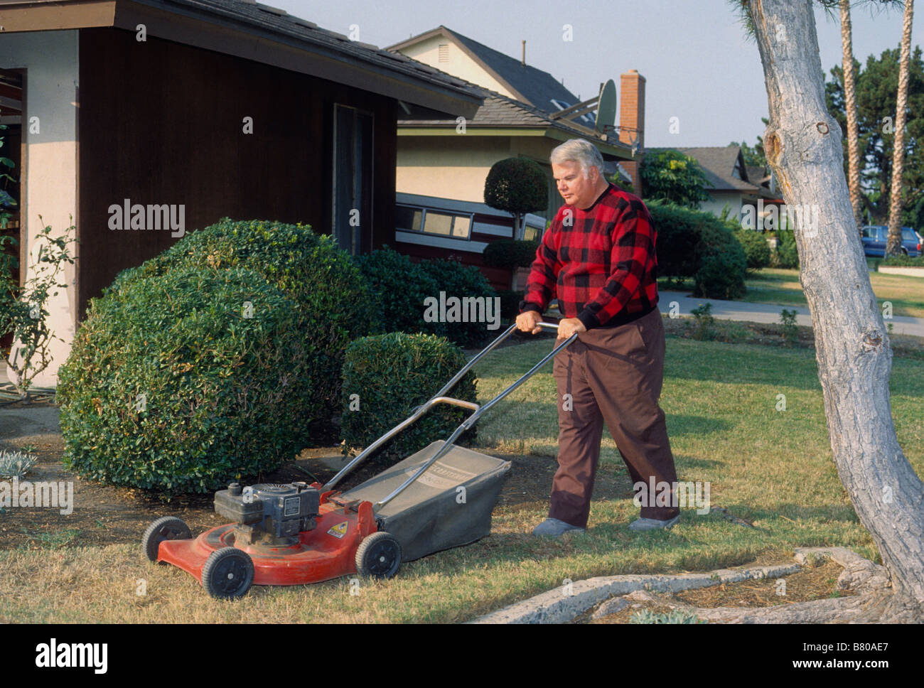Senior man mows lawn with gas mower obesity exercise Stock Photo - Alamy