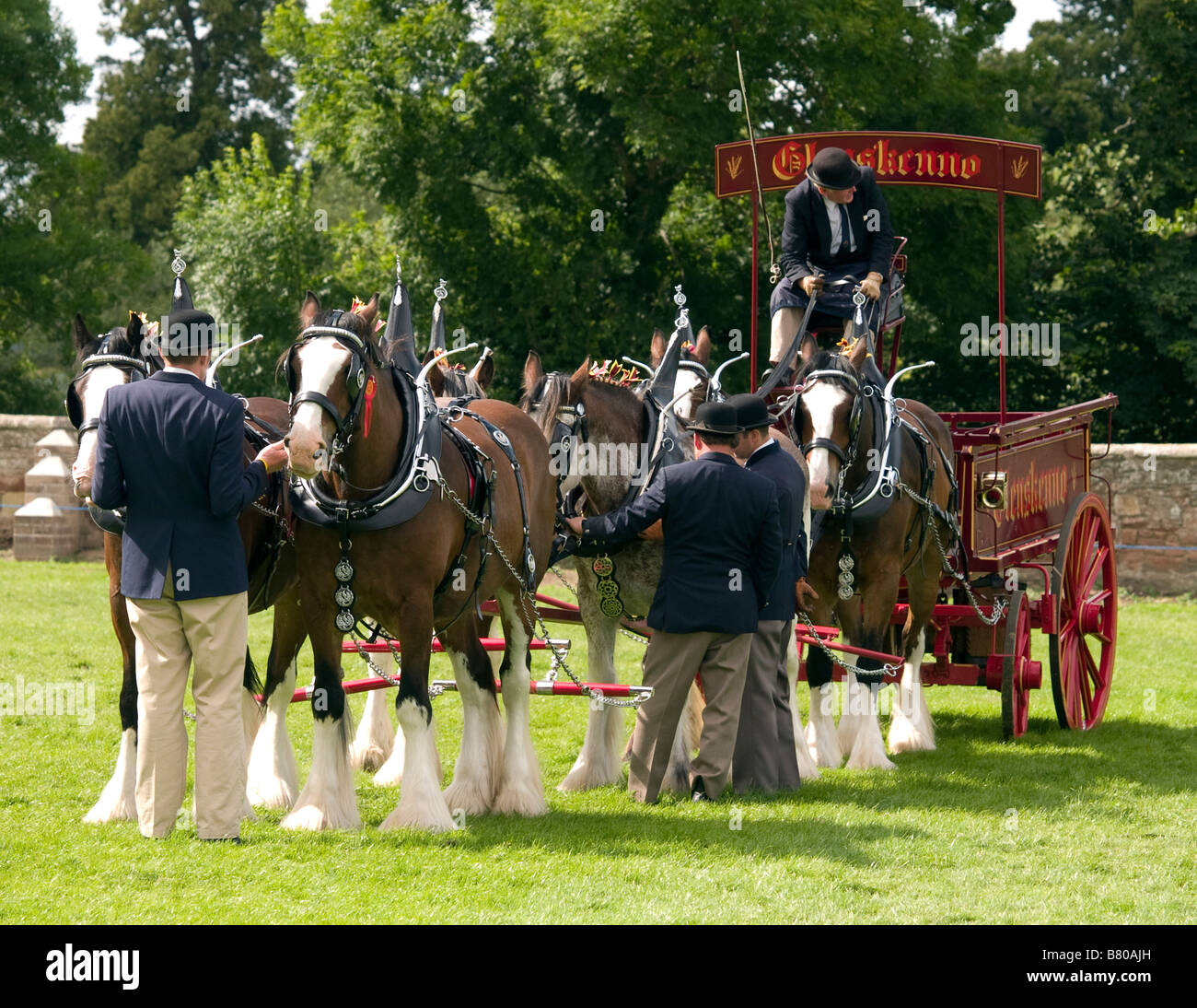 Team of Clydesdale horses with Dray Stock Photo - Alamy