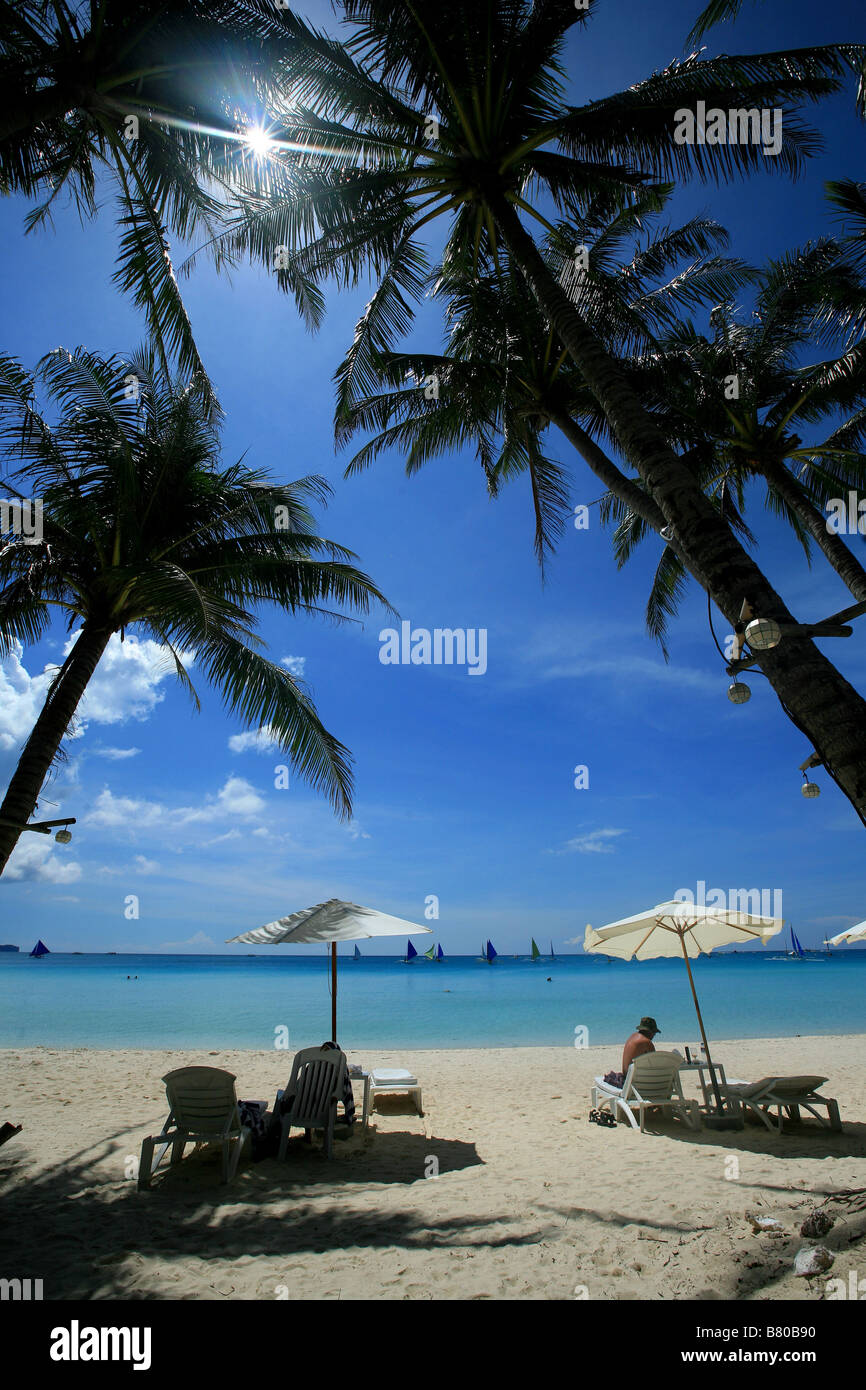 PHILIPPINES Western Visayas region Boracay Island Palm Trees on Boracay ...