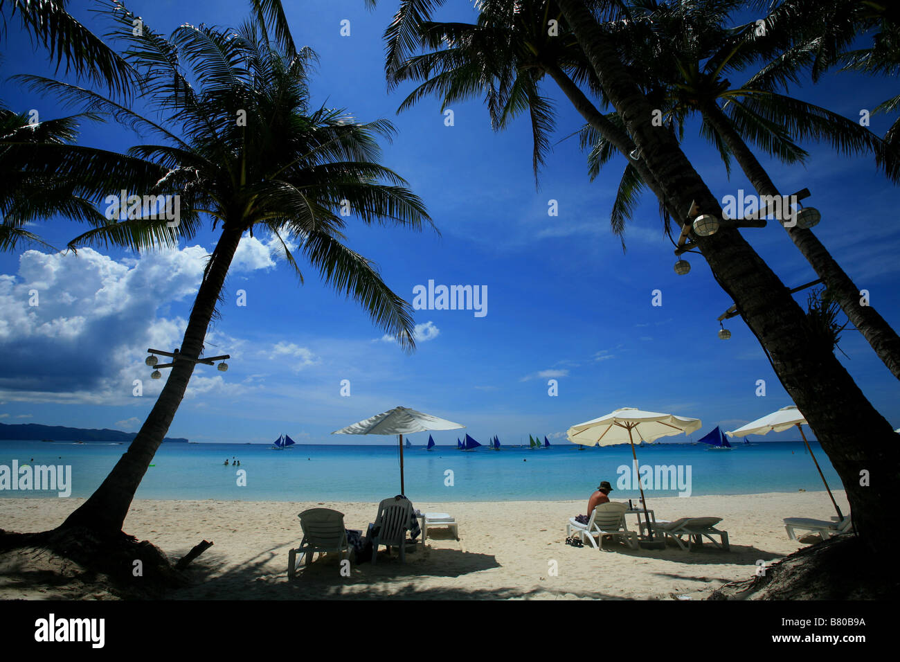 PHILIPPINES Western Visayas region Boracay Island Palm Trees on Boracay ...