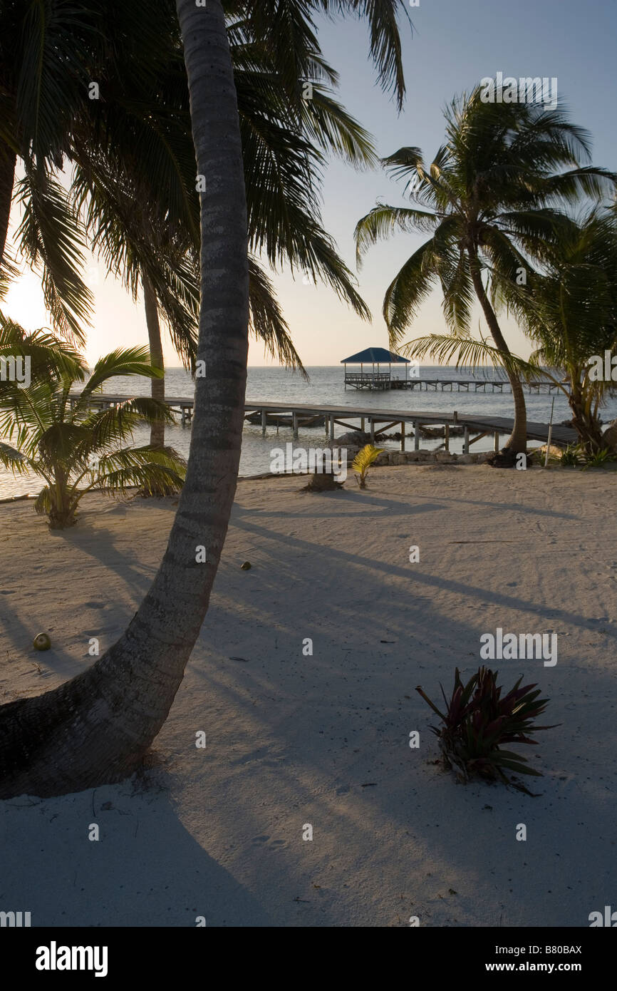 A breezy sunrise among the palm trees at the beach with a pier and hut ...