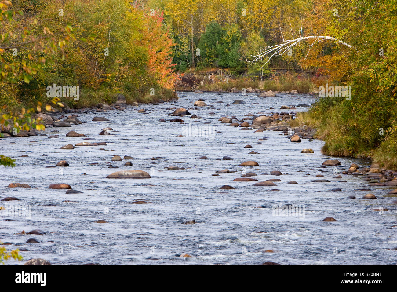 Babbling brook hi-res stock photography and images - Alamy