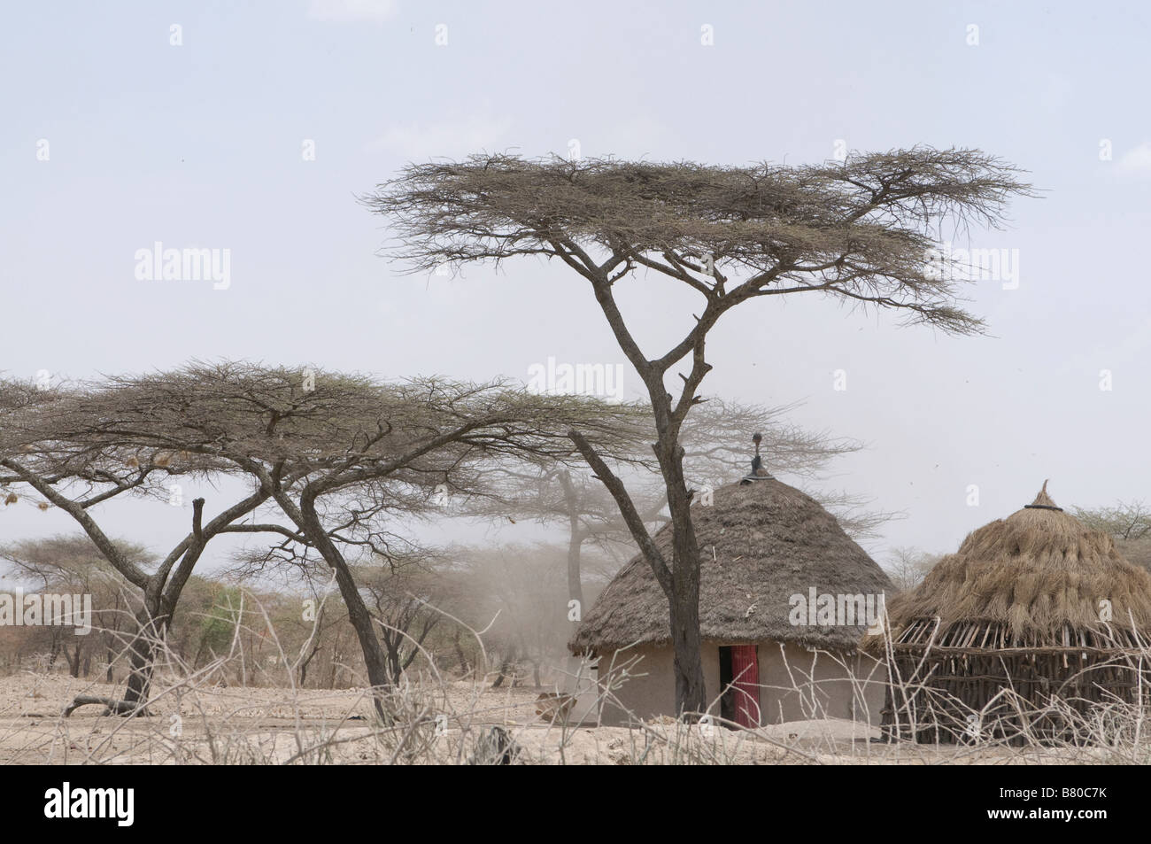 Wind blows over an ethiopian house Abiata Shala national Park Ethiopia ...