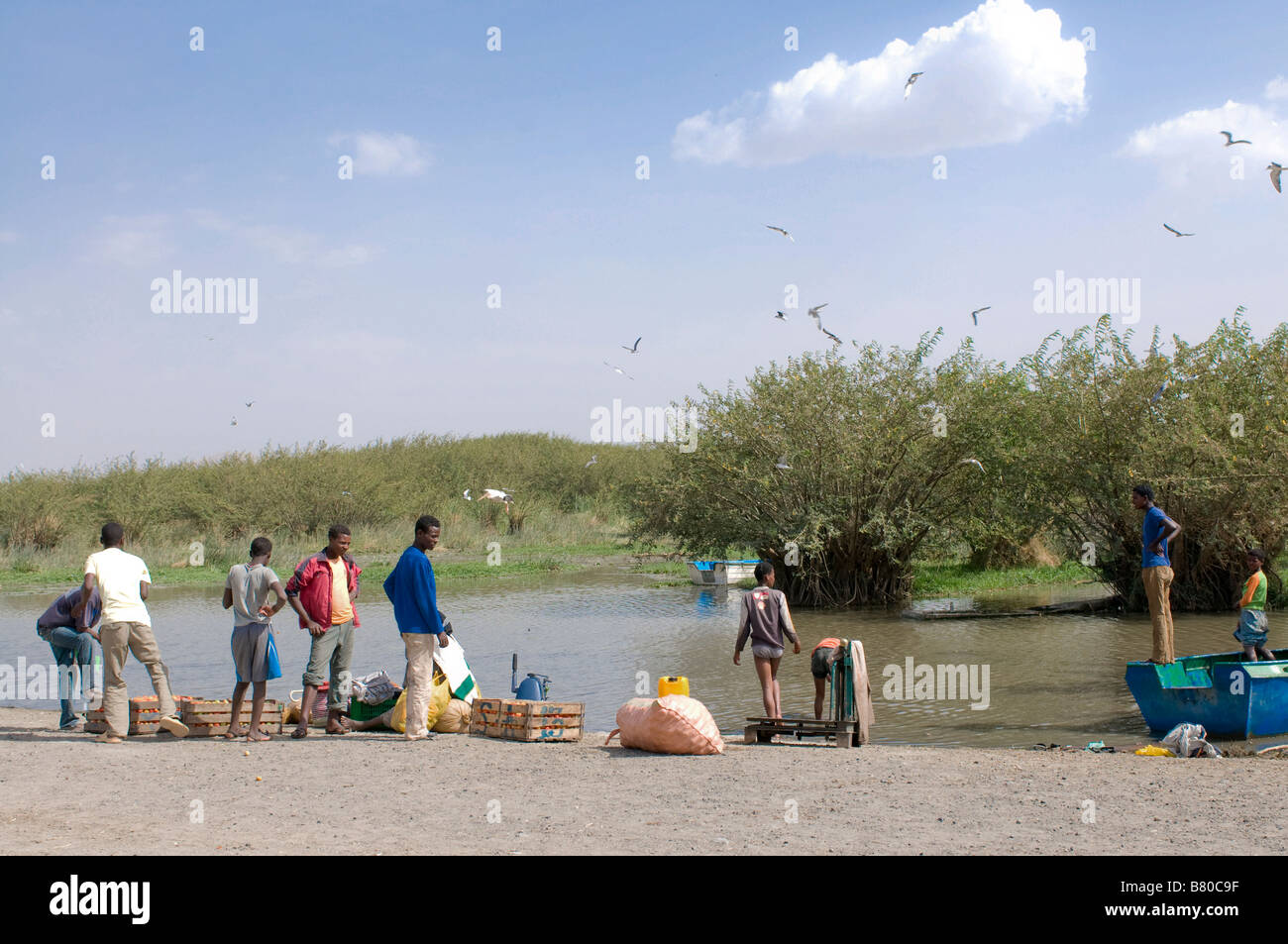 Fishermen on lake Ziway Ethiopia Africa Stock Photo - Alamy