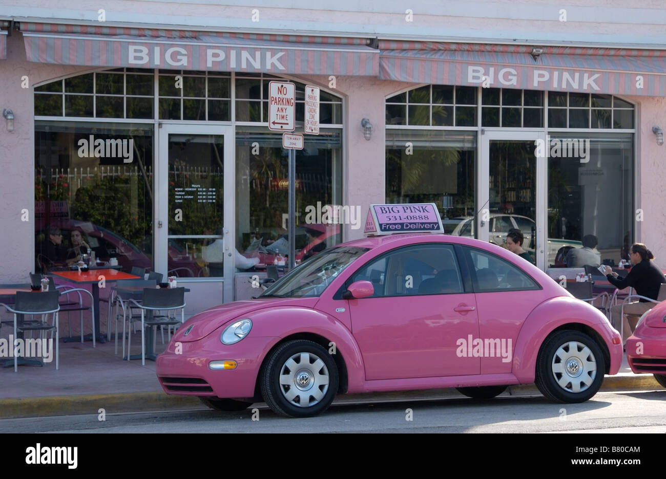 Big beetles hi-res stock photography and images - Alamy