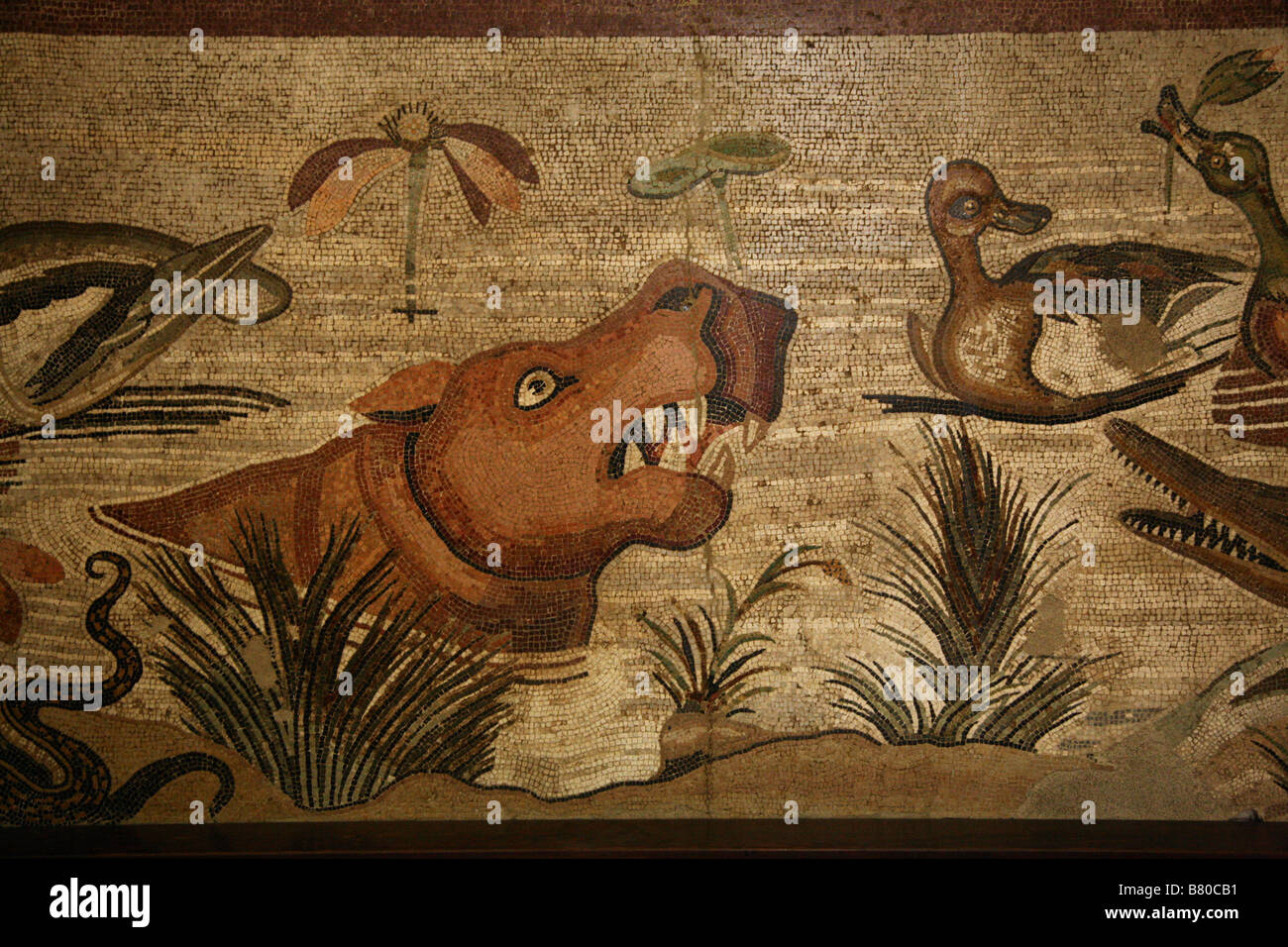 Duck mosaic hi-res stock photography and images - Alamy