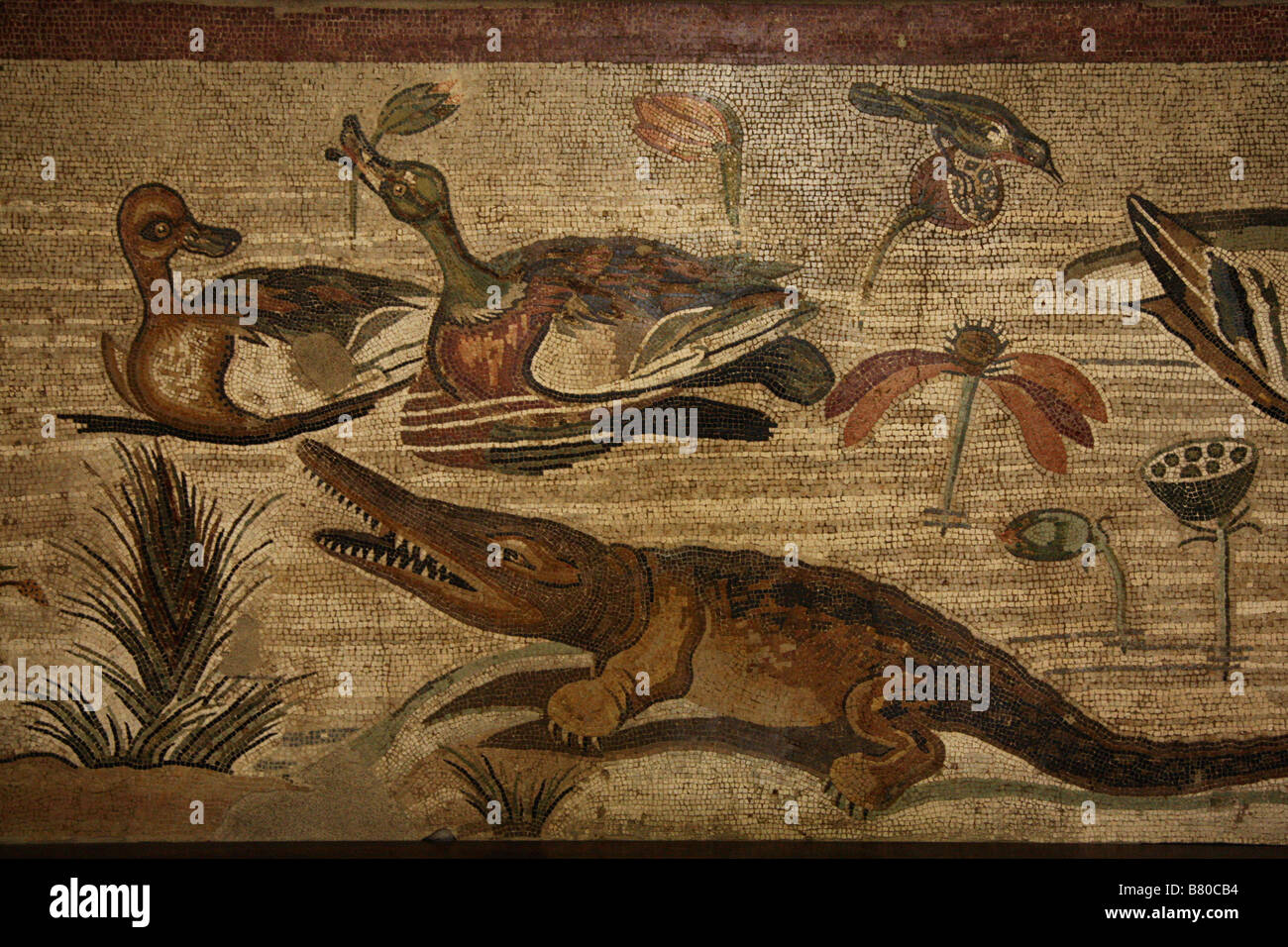 Crocodile and Two Ducks. Mosaic from the House of the Faun from Pompeii ...