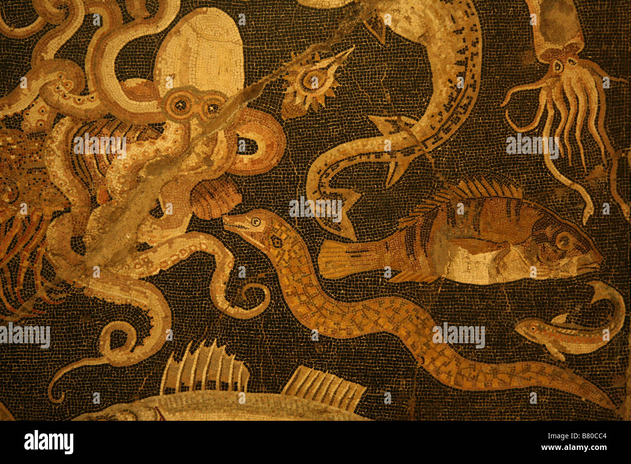Fish mosaic pompei hi-res stock photography and images - Alamy