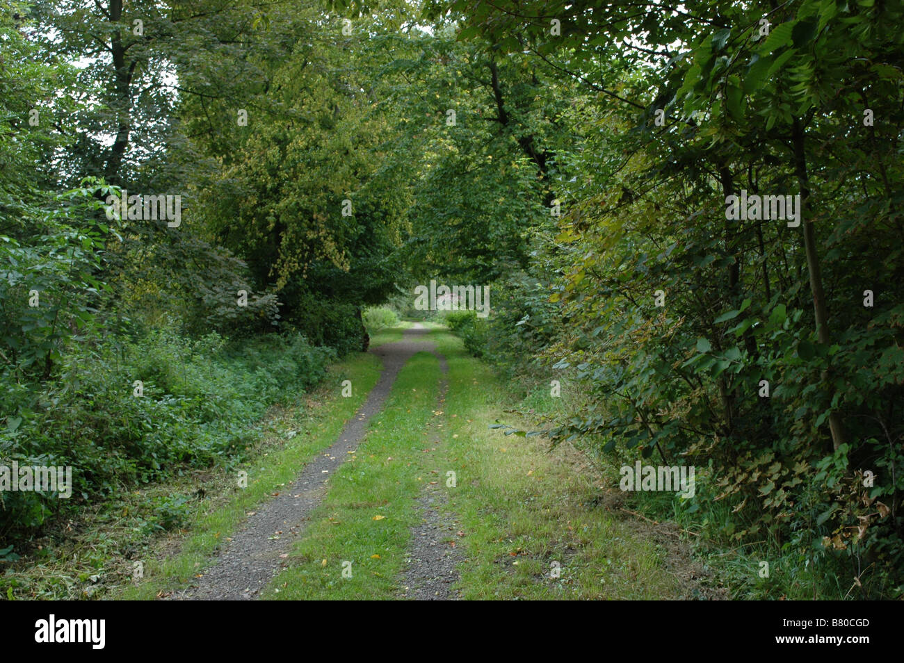 A walking path in Germany Stock Photo - Alamy