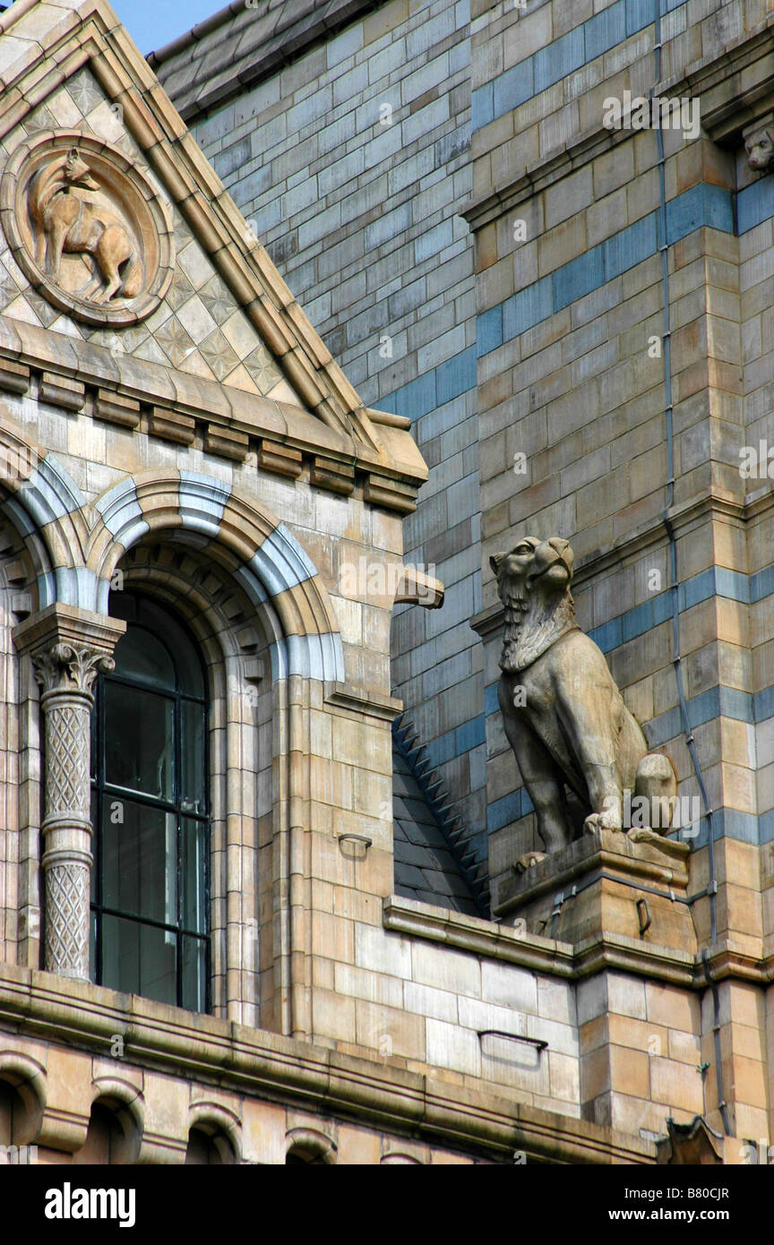 Statue outside museum natural history hi-res stock photography and ...