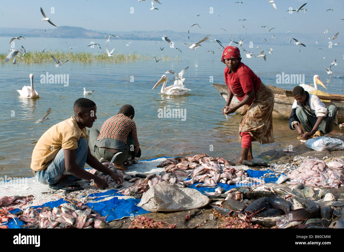 Fishermen on lake Awasa Ethiopia Africa Stock Photo - Alamy