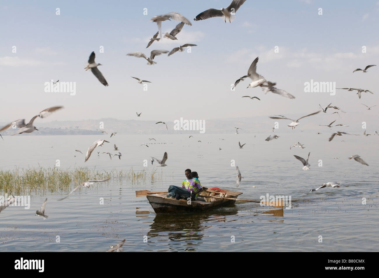 Fishermen on lake Awasa Ethiopia Africa Stock Photo - Alamy