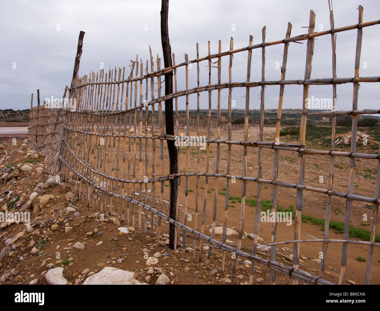 Hand with cane hi-res stock photography and images - Alamy