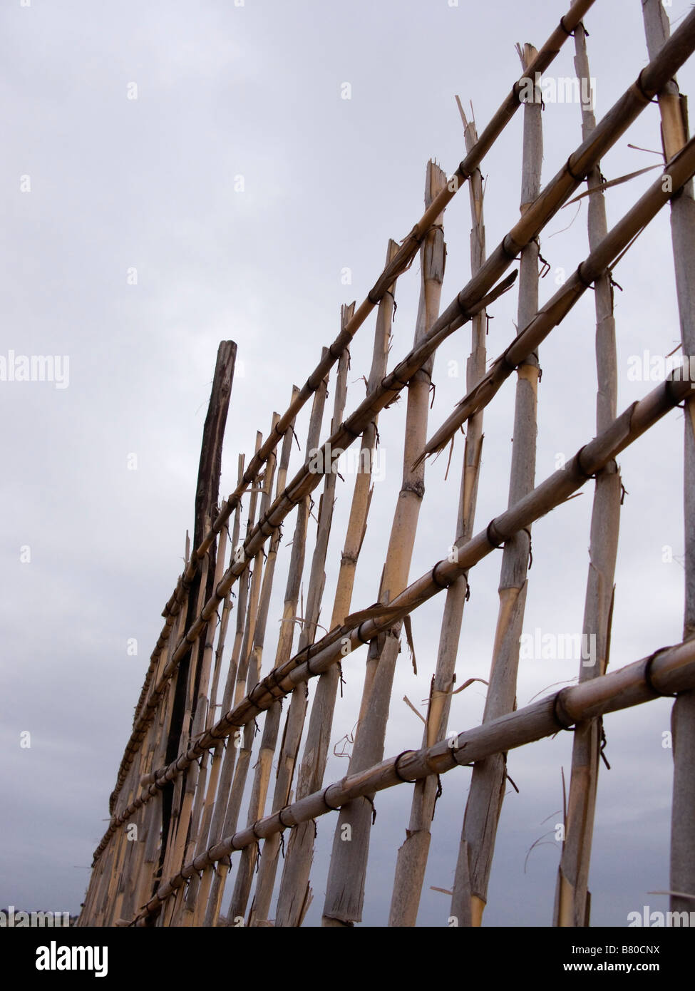 Moroccan hand made cane fence Stock Photo - Alamy